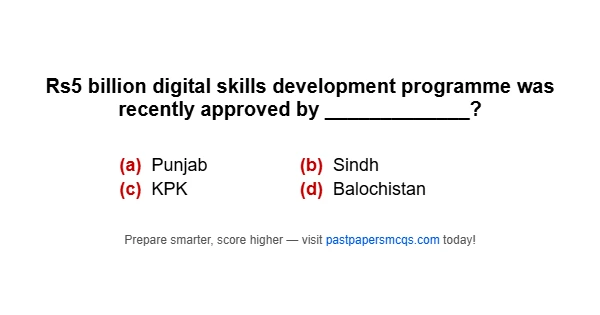 Digital Skills Development Programme | Past Papers MCQs