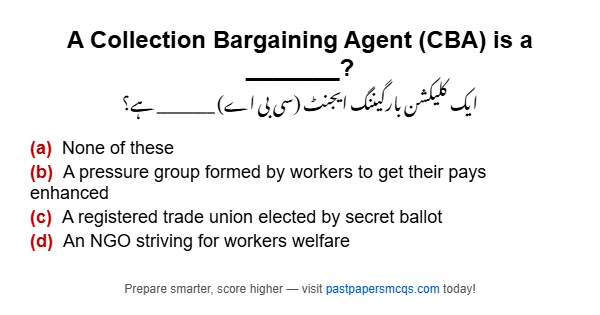 Collection Bargaining Agents | Past Papers MCQs