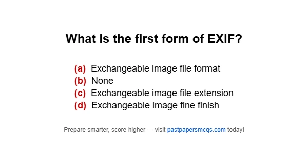 What is the first form of EXIF? | Past Papers MCQs
