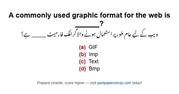 Web Graphic Image Formats | Past Papers MCQs
