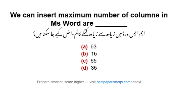 MS Word Table Creation Limitation | Past Papers MCQs