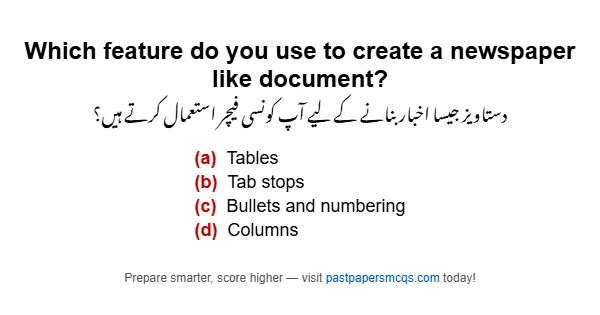 Newspaper Style Document Creation | Past Papers MCQs