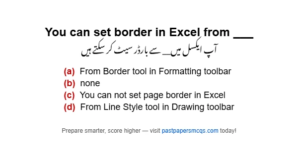 Excel Border Settings Options | Past Papers MCQs