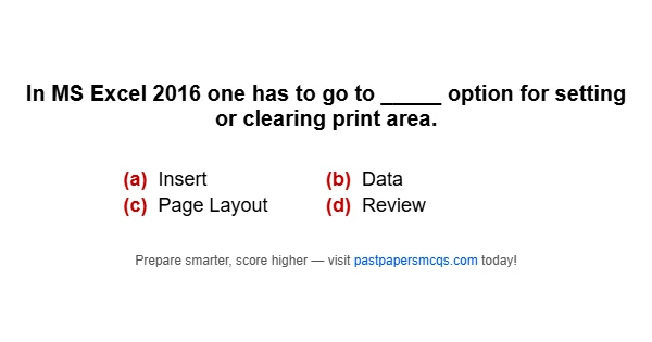 Print Area Setting Options | Past Papers MCQs