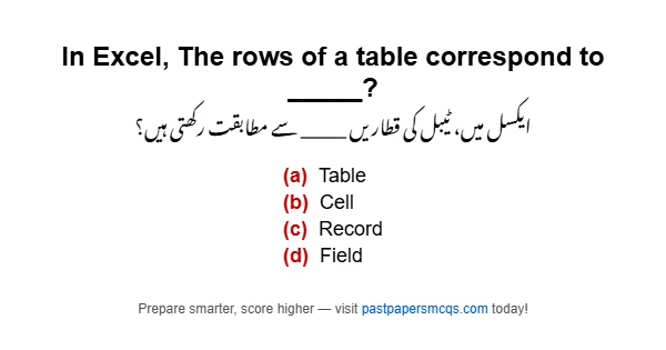 Excel Table Row Representation | Past Papers MCQs