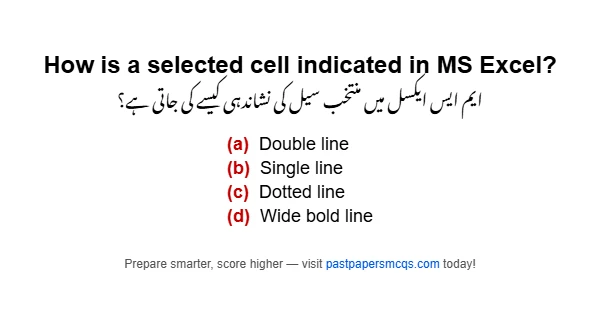 How to duplicate values in cell range in Excel 2016? | Past Papers MCQs