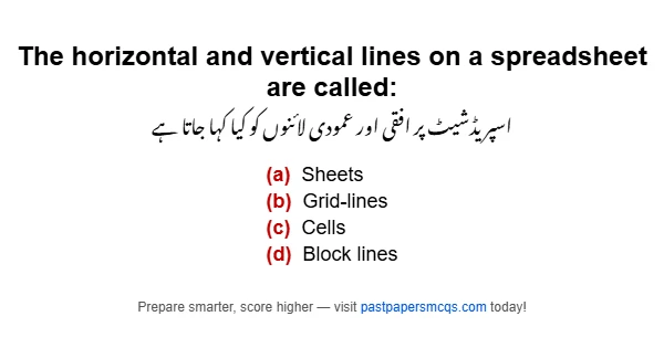 Gridlines and Cell Boundaries in Microsoft Excel | Past Papers MCQs