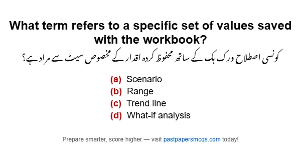 Workbook Settings and Saved Values in Microsoft Excel | Past Papers MCQs
