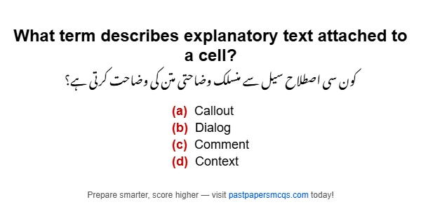 What term describes explanatory text attached to a cell? | Past Papers MCQs