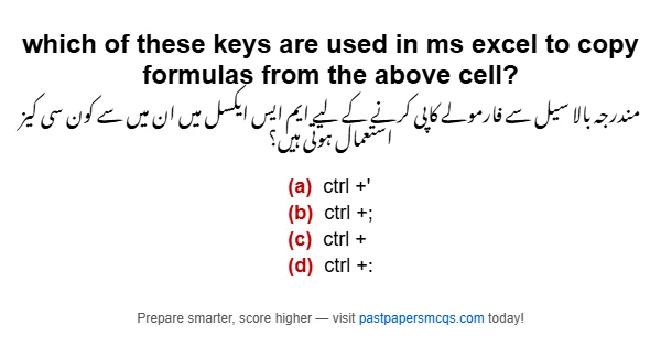 Copying Formulas in Microsoft Excel | Past Papers MCQs