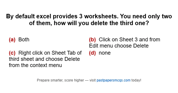 Deleting Worksheets in Microsoft Excel | Past Papers MCQs