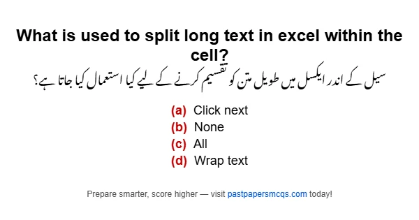 What is used to split long text in excel within the cell? | Past Papers ...