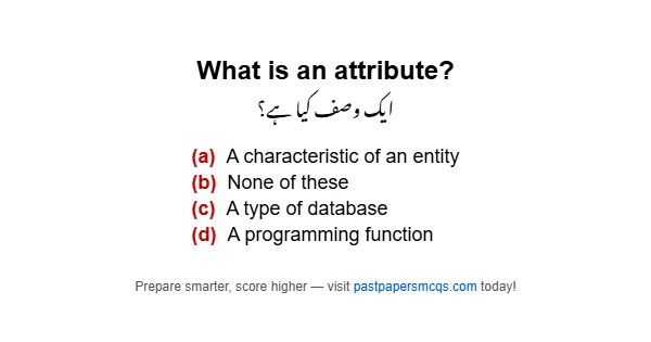 What is an attribute? | Past Papers MCQs