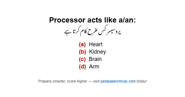 Input-Output processor has direct access to ? | Past Papers MCQs