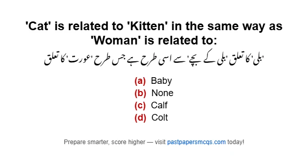 Relationships and Analogies Examples | Past Papers MCQs