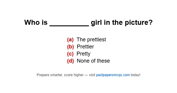 Descriptive Adjective Usage Examples | Past Papers MCQs