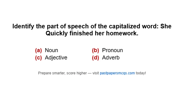 Adverb Classification Examples | Past Papers MCQs