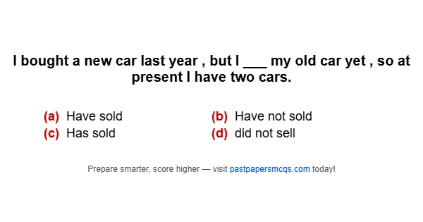 Car Ownership And Maintenance Experiences | Past Papers MCQs