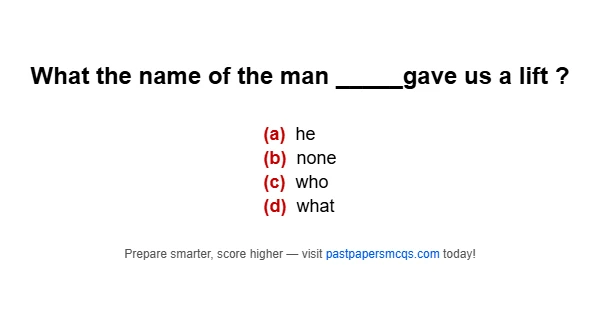 Describing People and Actions | Past Papers MCQs