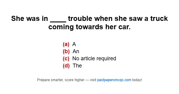 Emergency Situations And Crisis Management | Past Papers MCQs