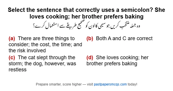 Punctuation Mark Usage Guidelines | Past Papers MCQs
