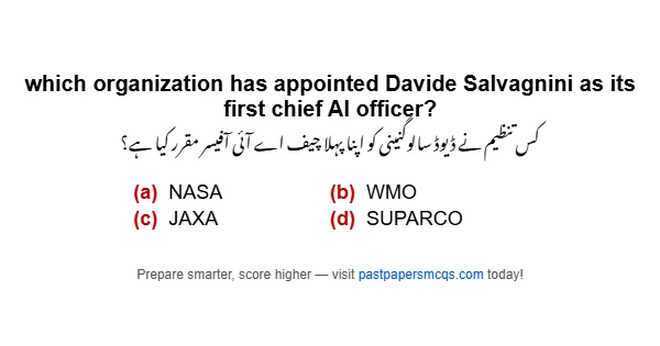 Chief Artificial Intelligence Officers | Past Papers MCQs