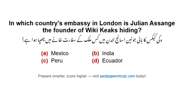 International Diplomacy and Asylum Cases | Past Papers MCQs