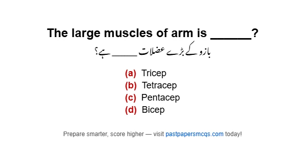 Upper Limb Muscle Anatomy | Past Papers MCQs