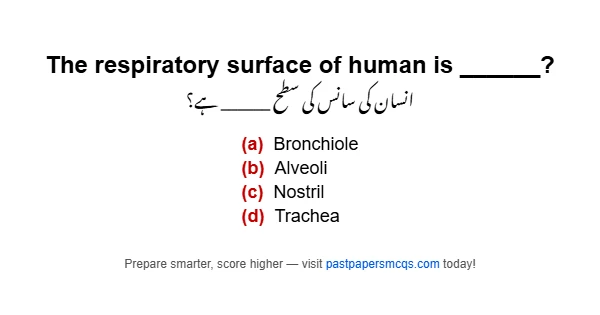 Human Respiratory Surface and Gas Exchange | Past Papers MCQs