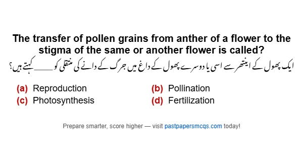Plant Reproduction Mechanisms | Past Papers MCQs