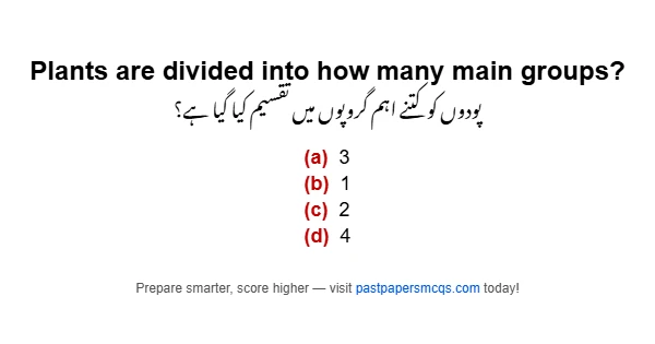 Plants are divided into how many main groups? | Past Papers MCQs