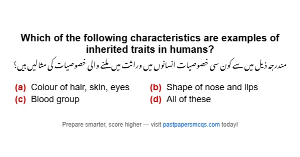 Inherited Traits In Human Beings | Past Papers MCQs