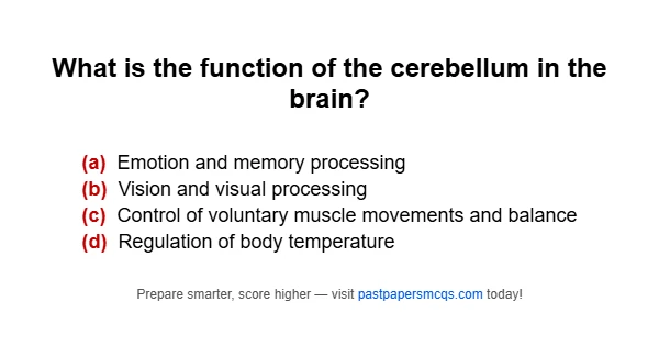 What is the function of the cerebellum in the brain? | Past Papers MCQs