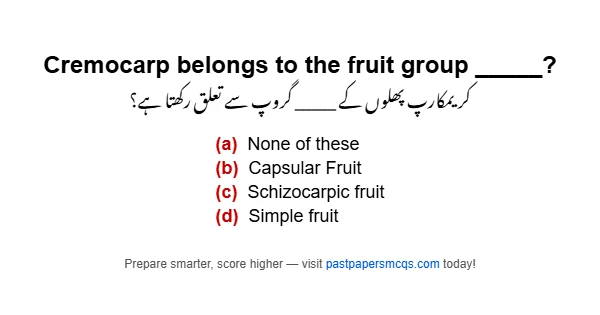 Botany and Fruit Classification | Past Papers MCQs