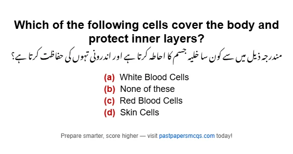 Human Skin Structure and Function | Past Papers MCQs