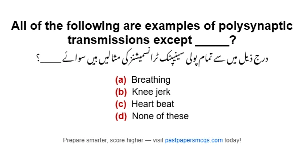 Neurotransmission Processes | Past Papers MCQs