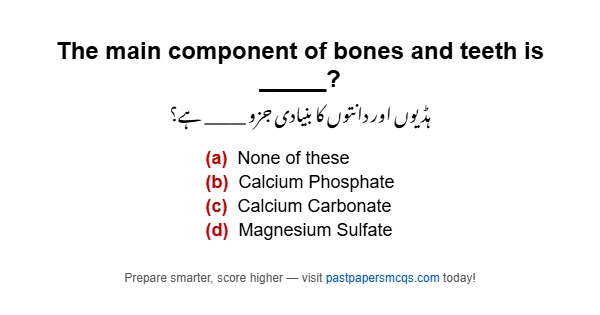Human Dental Anatomy Composition | Past Papers MCQs