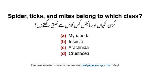 Spider, ticks, and mites belong to which class? | Past Papers MCQs