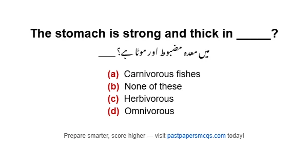 Fish Stomach Anatomy Classification | Past Papers MCQs