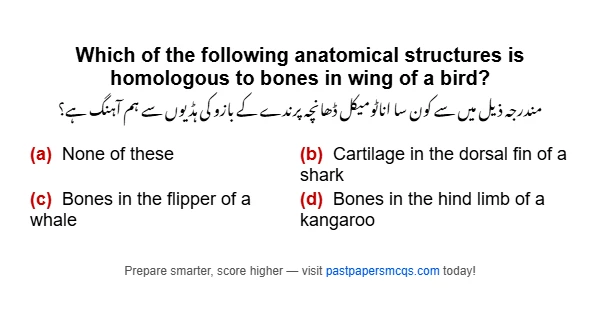 Homologous Anatomical Structures in Vertebrates | Past Papers MCQs