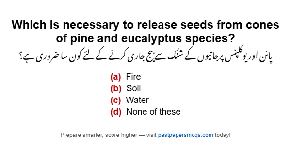 Seed Release Mechanisms Explanation | Past Papers MCQs