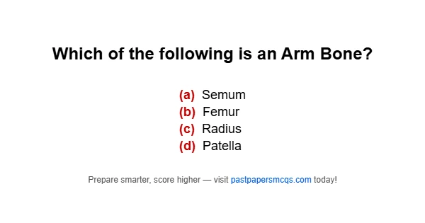 Which of the following is an Arm Bone? | Past Papers MCQs