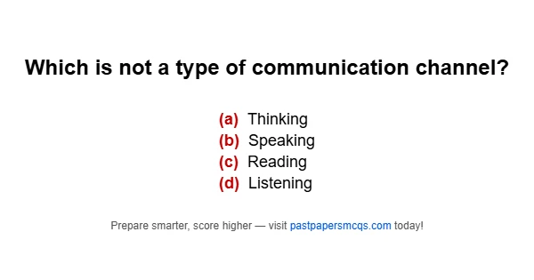 Which is not a type of communication channel? | Past Papers MCQs