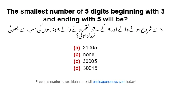 Large Number Identification Techniques | Past Papers MCQs